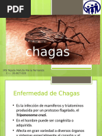 Triatominos: Vectores de Chagas | PDF | Biología