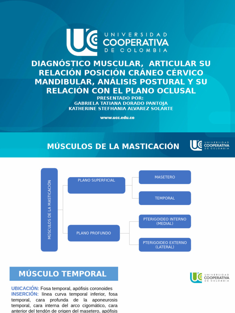 Atm y Musculos | PDF | Sistema musculoesquelético