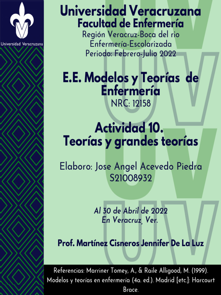 GRANDES TEORIAS DE ENFERMERIA | PDF | Enfermería