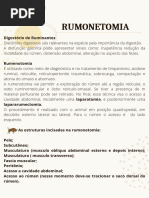 Cirurgia de Hartmann: Procedimentos e Cuidados | PDF ...