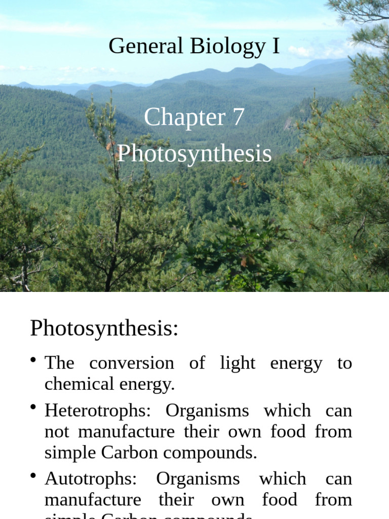 Chapter 7 Photosynthesis | PDF | Photosynthesis | Chlorophyll