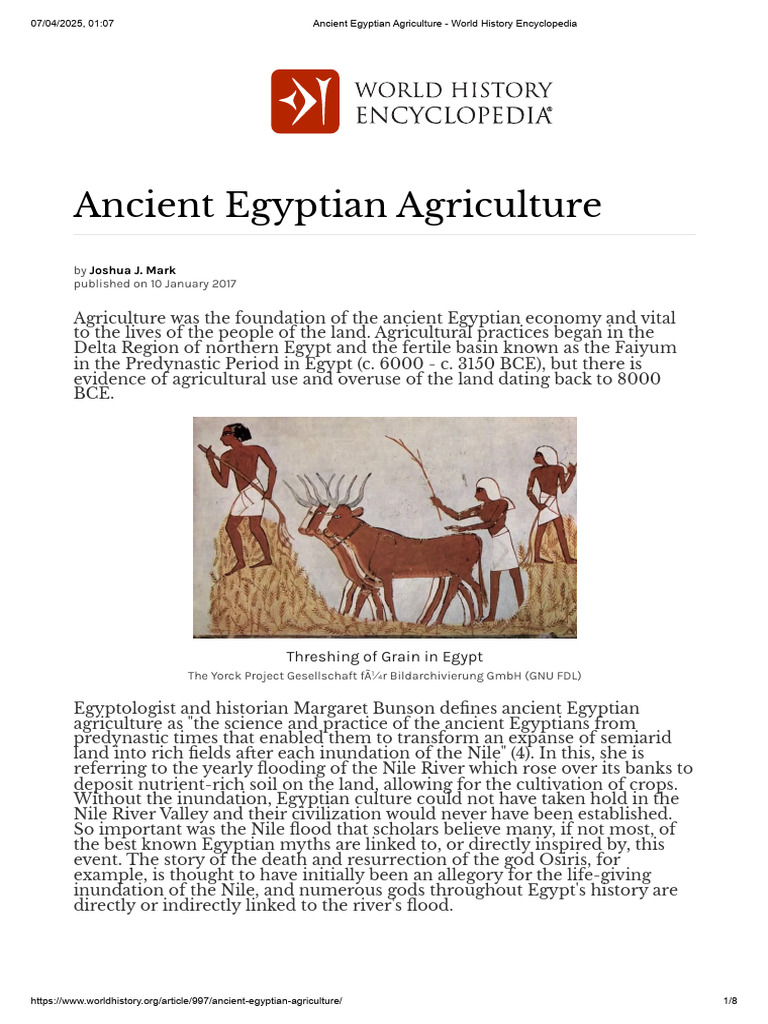 Ancient Egyptian Agriculture Tools | PDF | Ancient Egypt | Plough