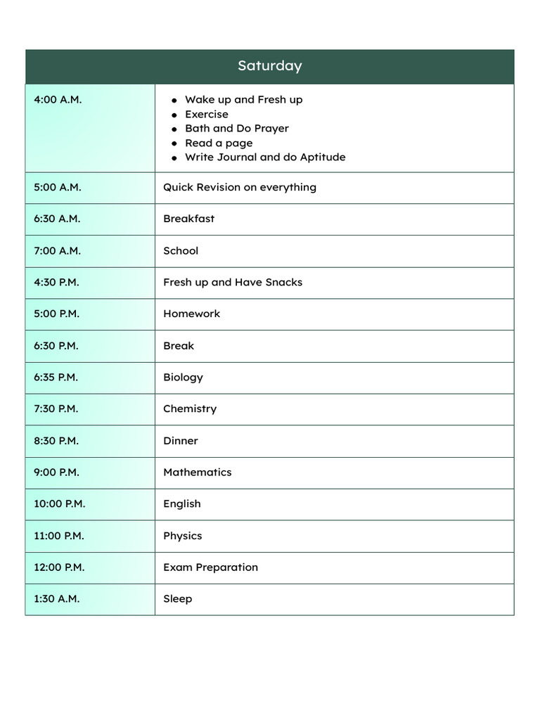 Saturday Study and Routine Schedule | PDF