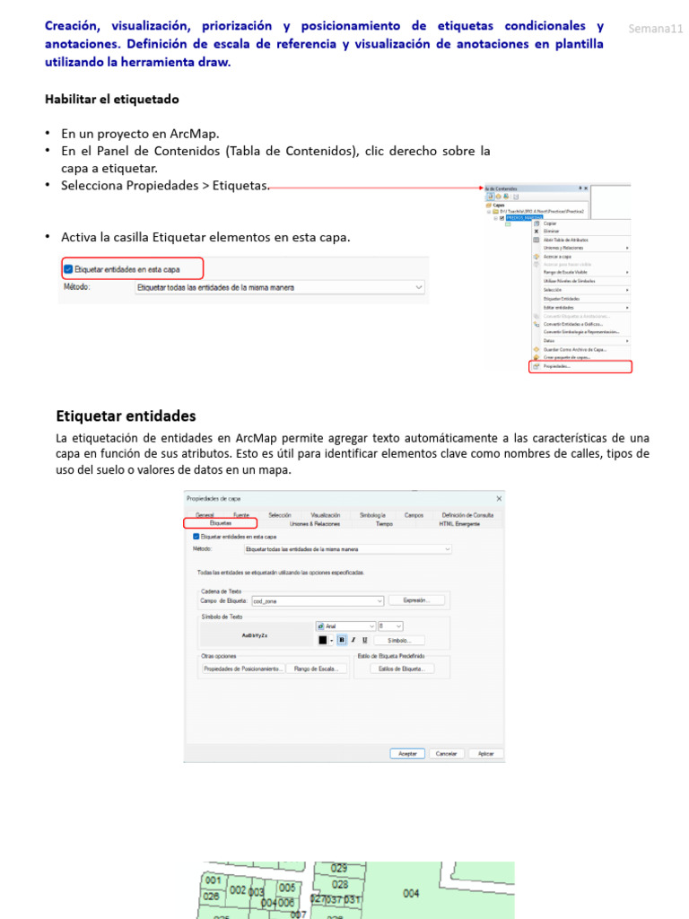 Clase 13. Creación, Visualización, Priorización y Posicionamiento de Etiquetas Condicionales ...