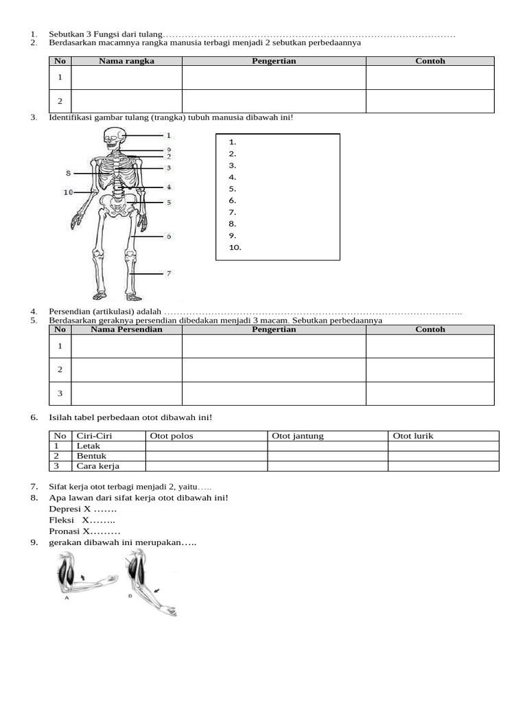 LKPD Sistem Gerak | PDF