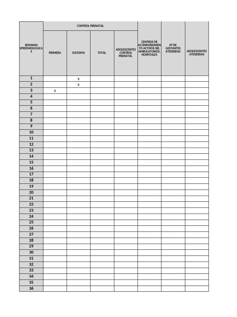 Formato de Ruta Materna | PDF | Salud pública