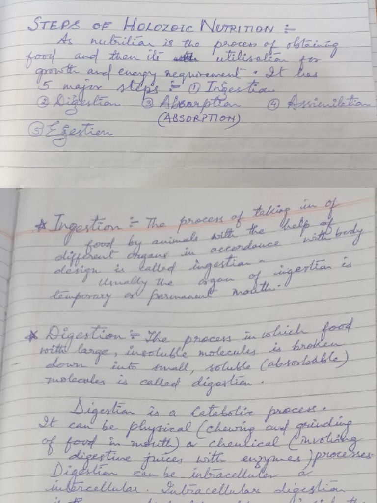 Biology Class 10 | PDF