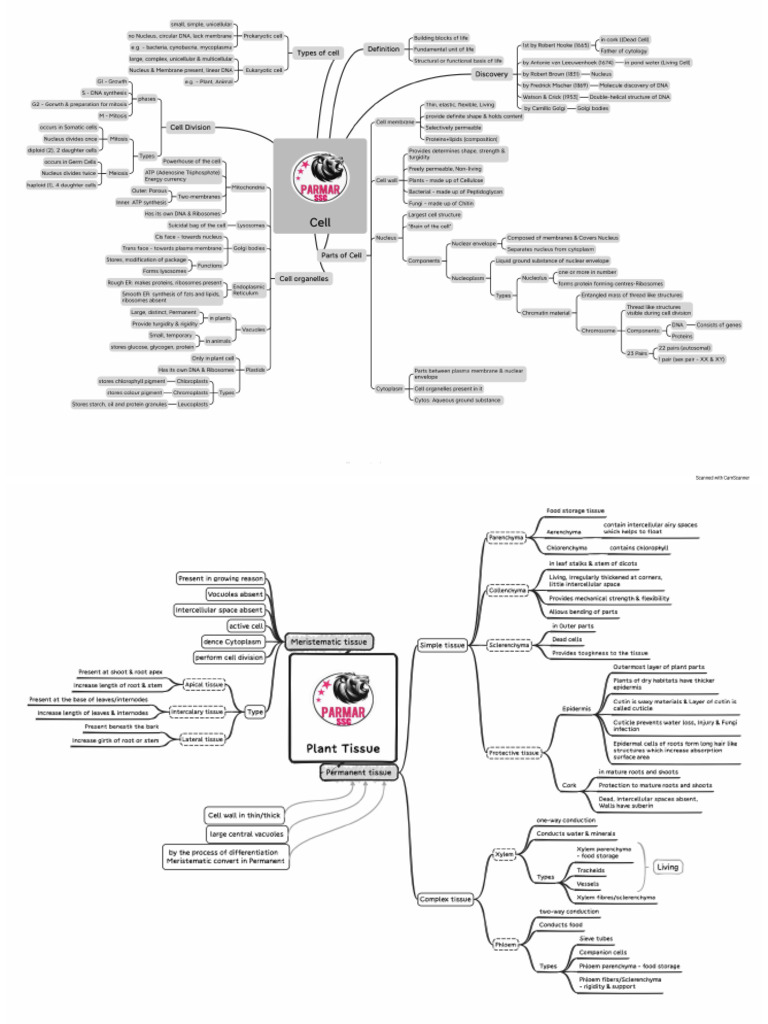 055) Biology Printable Mindmap (Science - Biology) | PDF