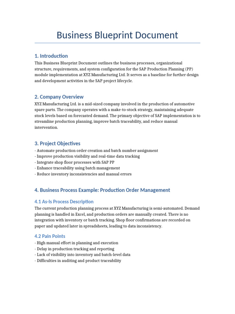 Detailed Business Blueprint PP | PDF | Business | Information Technology