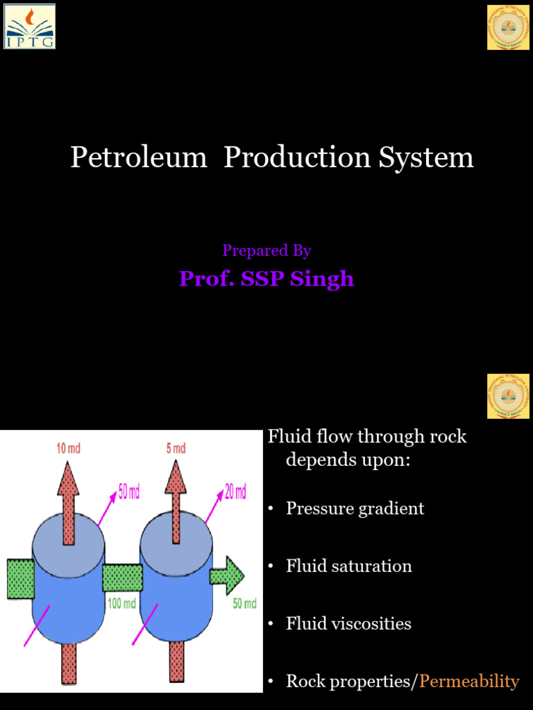 02-Petroleum Production System | PDF
