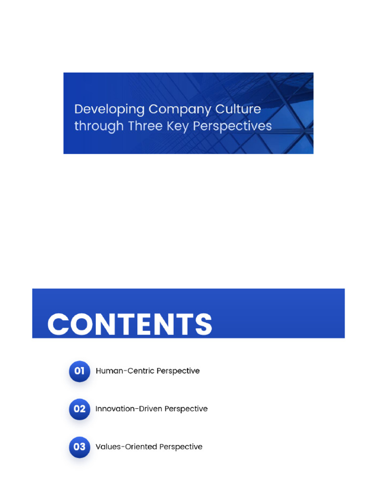 3 Perspective of Company Culture | PDF