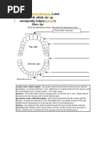 Teeth Labelling Guide and Answers | PDF