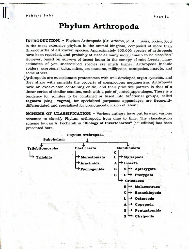 Phylum Arthropoda | PDF