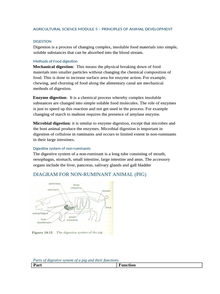 Agric Science Module 5 Notes | PDF | Digestion | Human Digestive System