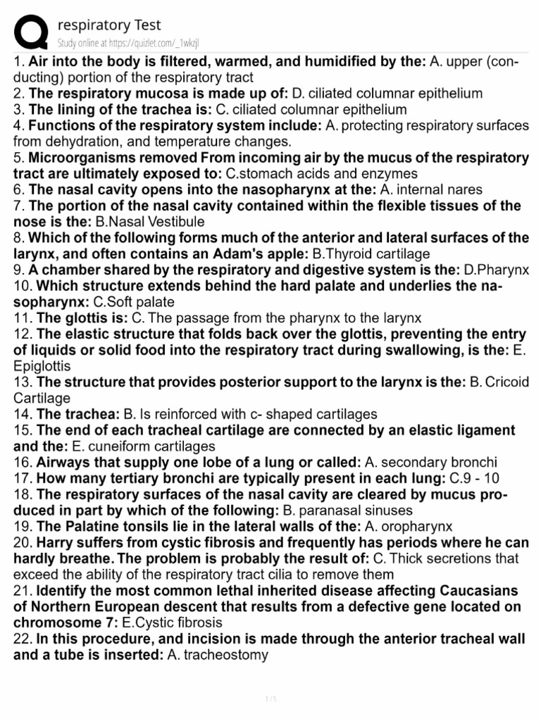 Respiratory System Questions | PDF