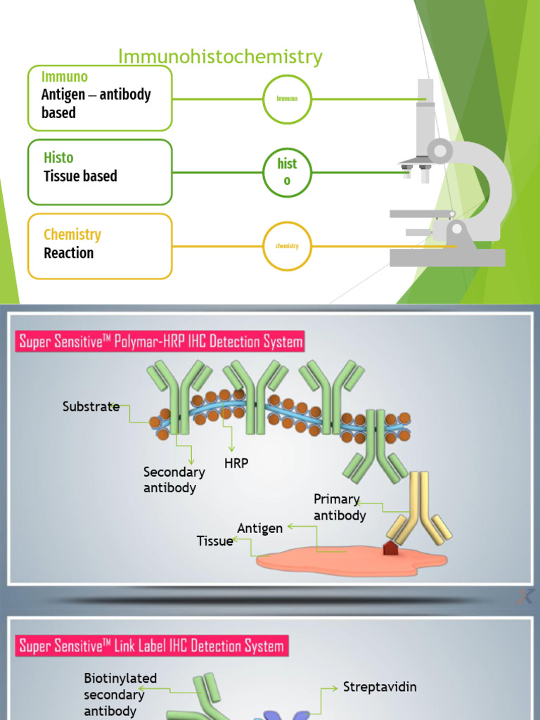 Protocol Ihc - Practice - Modul 4-5 | PDF | Immunohistochemistry ...