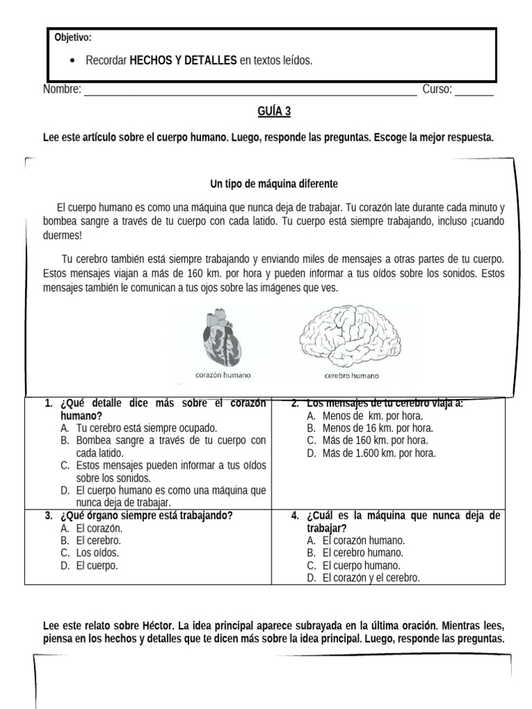 Guía N°3 - Recordar Hechos y Detalles | PDF