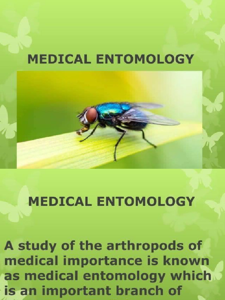 Entomologi Medis Komplit | PDF