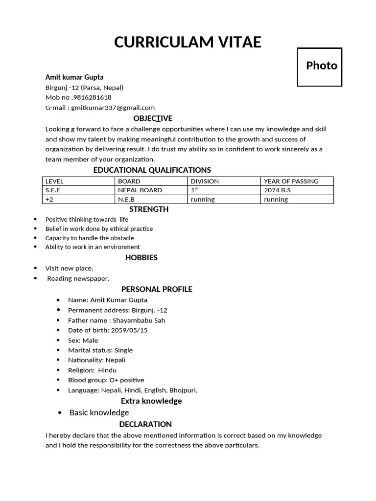 Curriculam Vitae: Katun | PDF