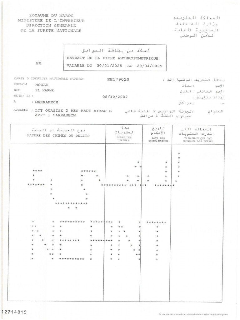 Non Criminal Certificate | PDF