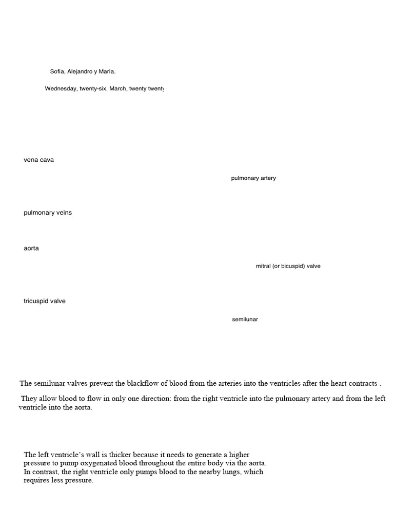 Heart Dissection Questions 3ESO | PDF