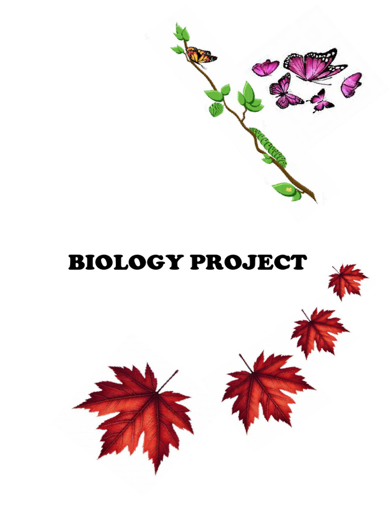 Biology Project Front Page 2025-26 Final | PDF