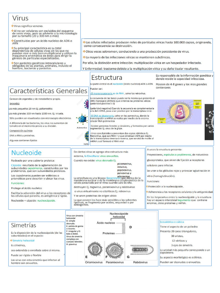 Virus | PDF