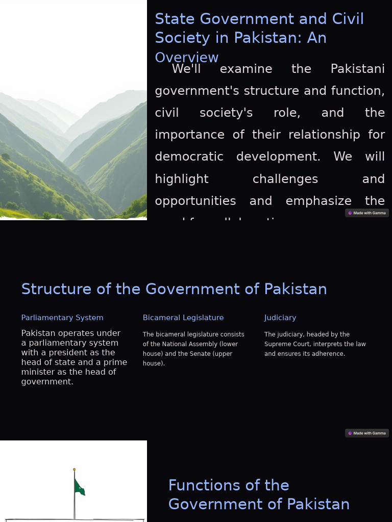 State-Civil Society Dynamics in Pakistan | PDF | Civil Society ...