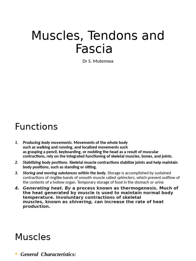 Understanding Muscles and Tendons Functions | PDF | Tendon | Skeletal ...