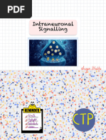 Grades of Insight | PDF