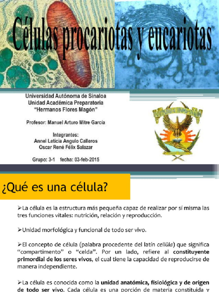 CELULAS | PDF