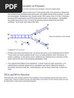 Gene End 5 Prime and 3 Prime Explained | PDF | Science & Mathematics