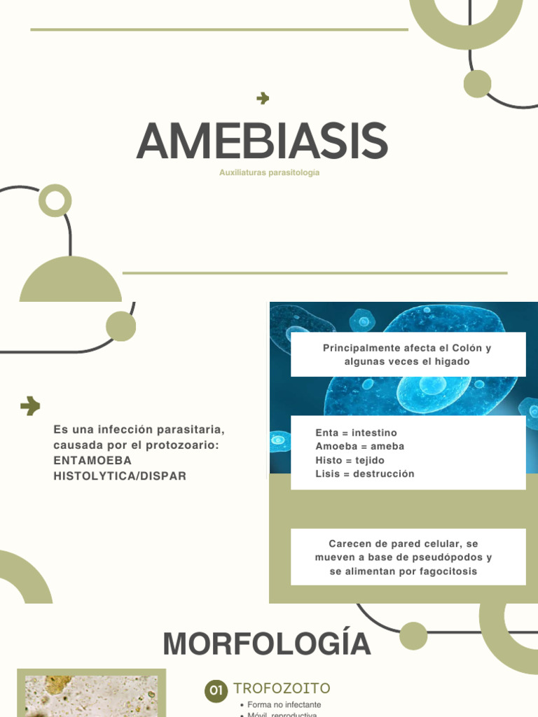 Amebiasis PDF | PDF | Especialidades Medicas | Gastroenterología