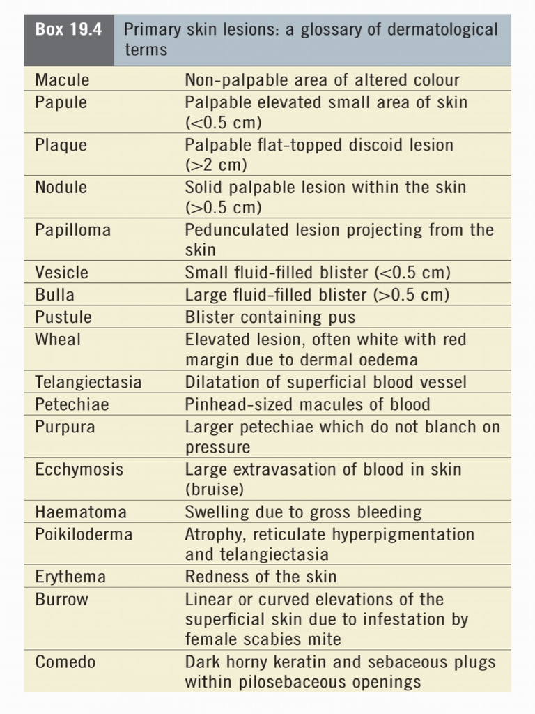 Dermatology Basics - 231103 - 114053 | PDF