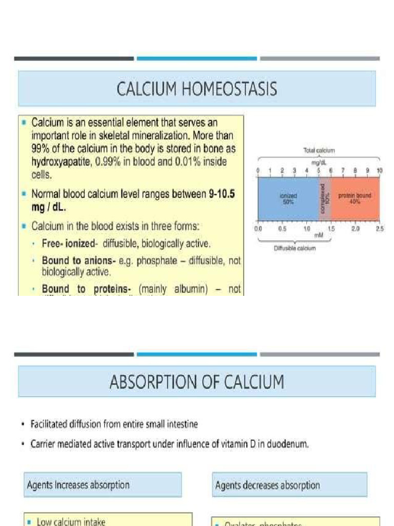 3 Endocrine Calcium | PDF