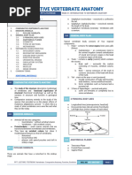 Frog Anatomy: Planes & External Parts | PDF | Anatomical Terms Of Location