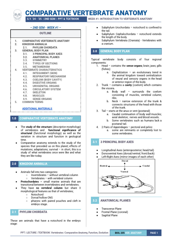 Lecture 1 - CVA LAB | PDF | Vertebrates | Anatomy