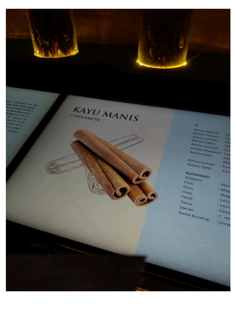 Cinnamon Looks Good | PDF