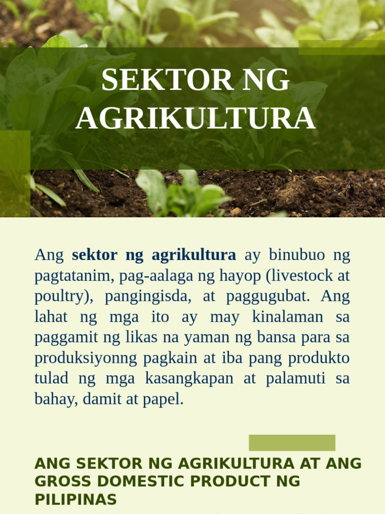 Sektor NG Agrikultura | PDF