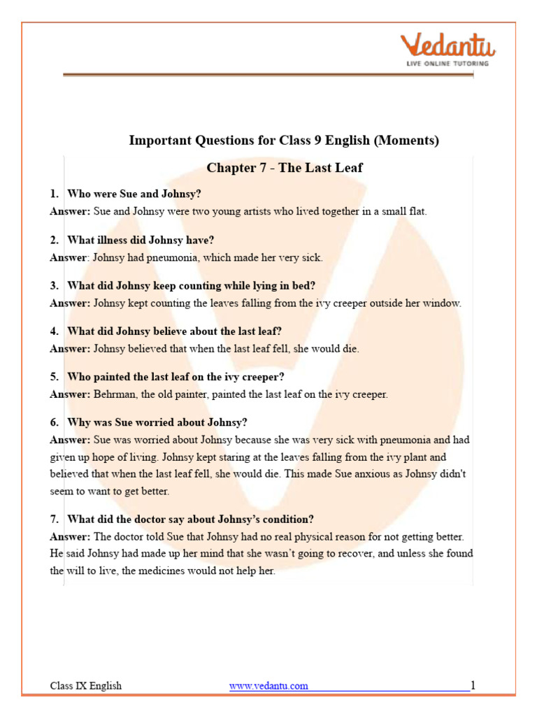 Important Questions Class 9 English Moments Chapter 7 | PDF | Hope
