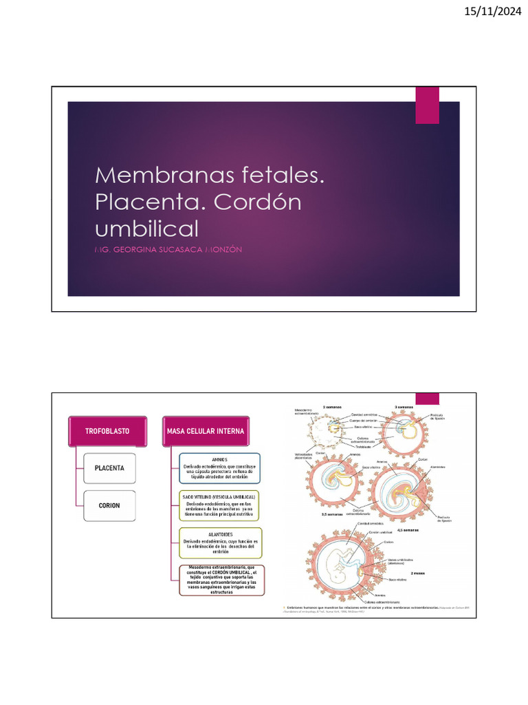 Membranas Fetales | PDF | Placenta | Feto