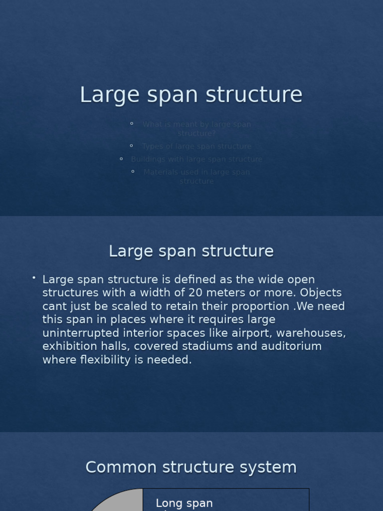 Large Span Structure | PDF