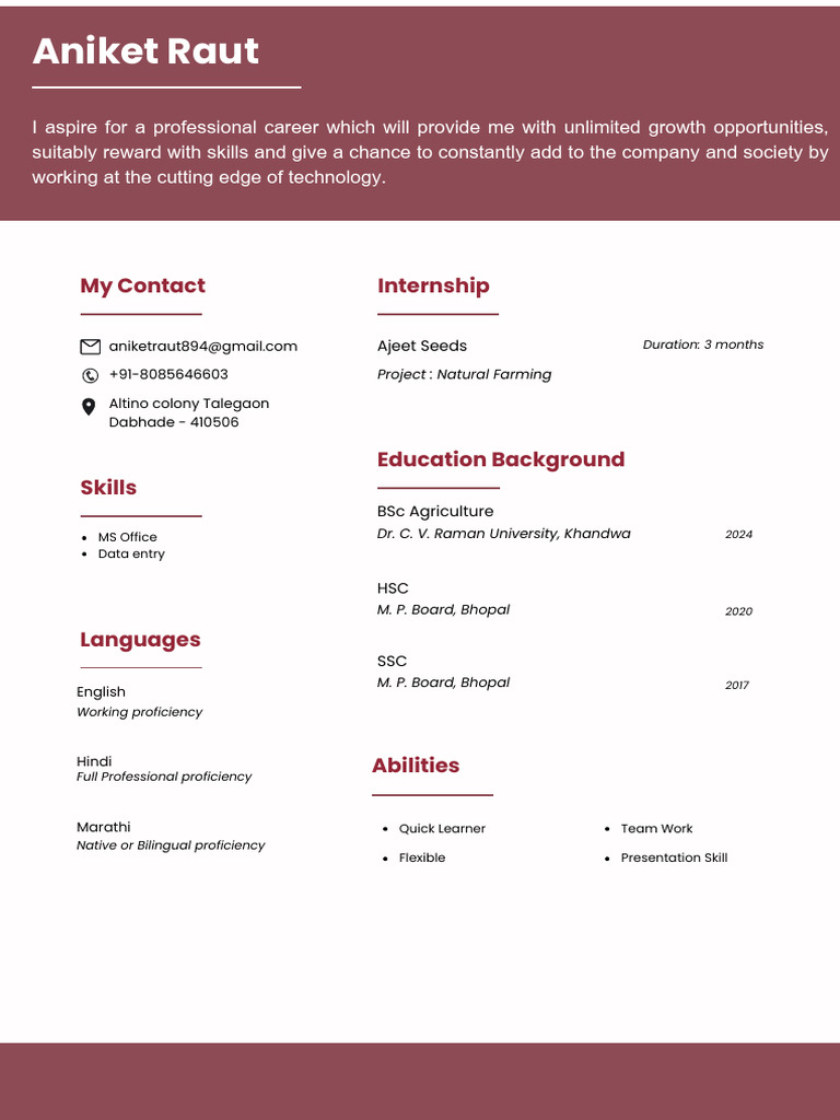 Aniket Resume2 | PDF