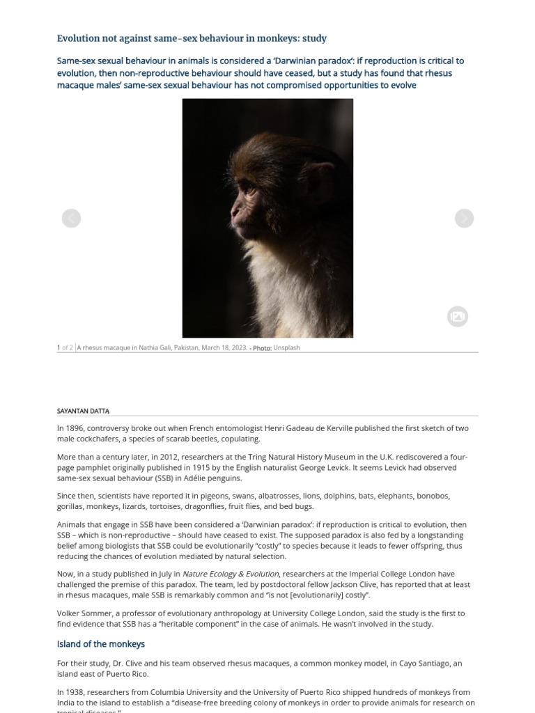 Same-Sex Behavior in Rhesus Monkeys Study | PDF | Genetics | Ethology