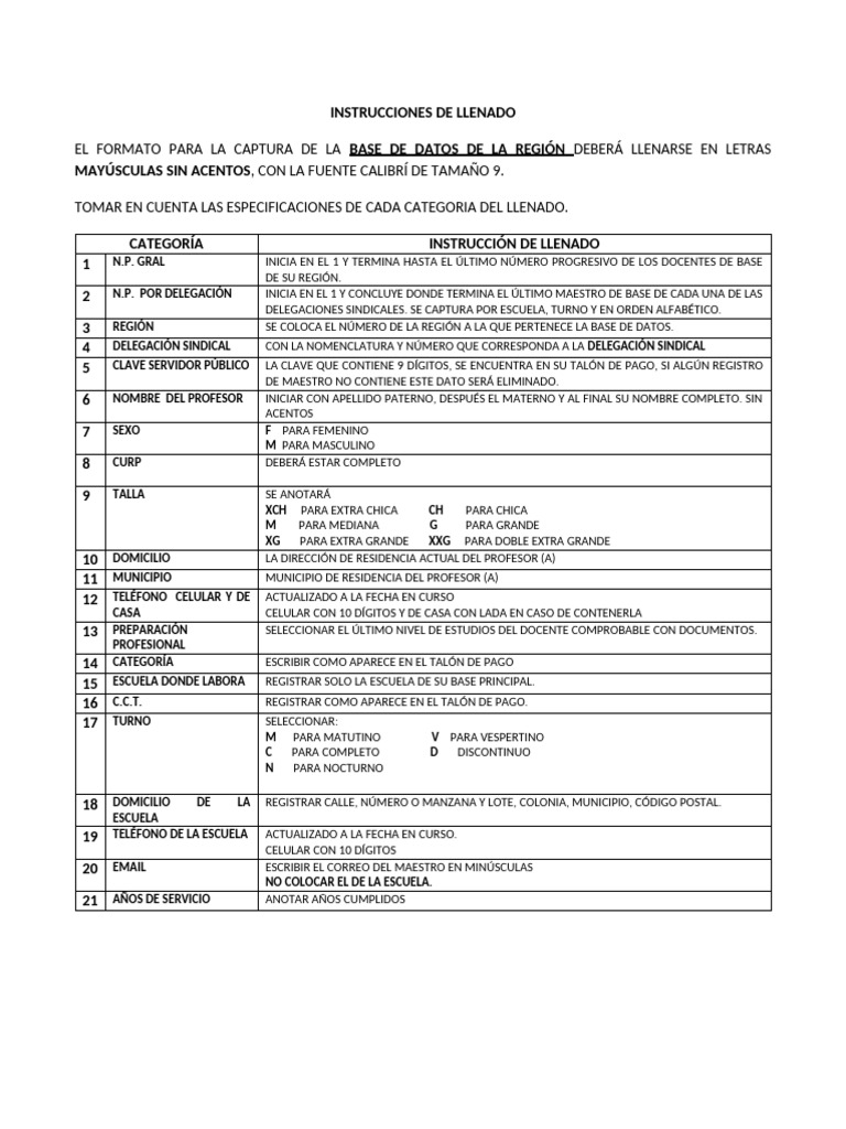 Instrucciones para Llenado de Formatos | PDF