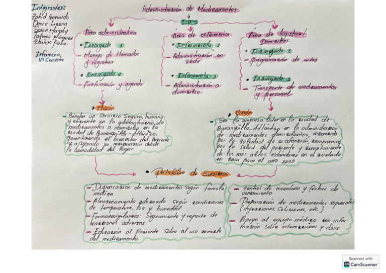 Mapa Conceptual - Admón de Medicamentos | PDF