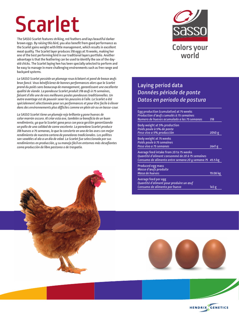 SASSO Scarlet Layer Performance Data | PDF