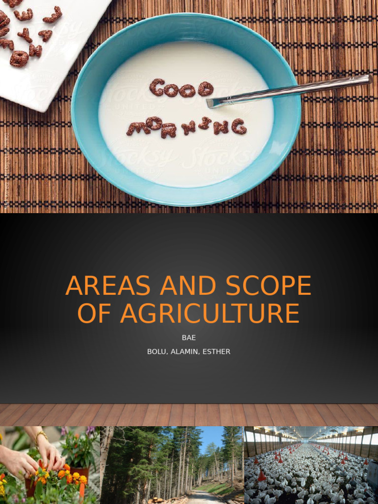 Overview of Agriculture and Its Branches | PDF | Aquaculture | Agriculture
