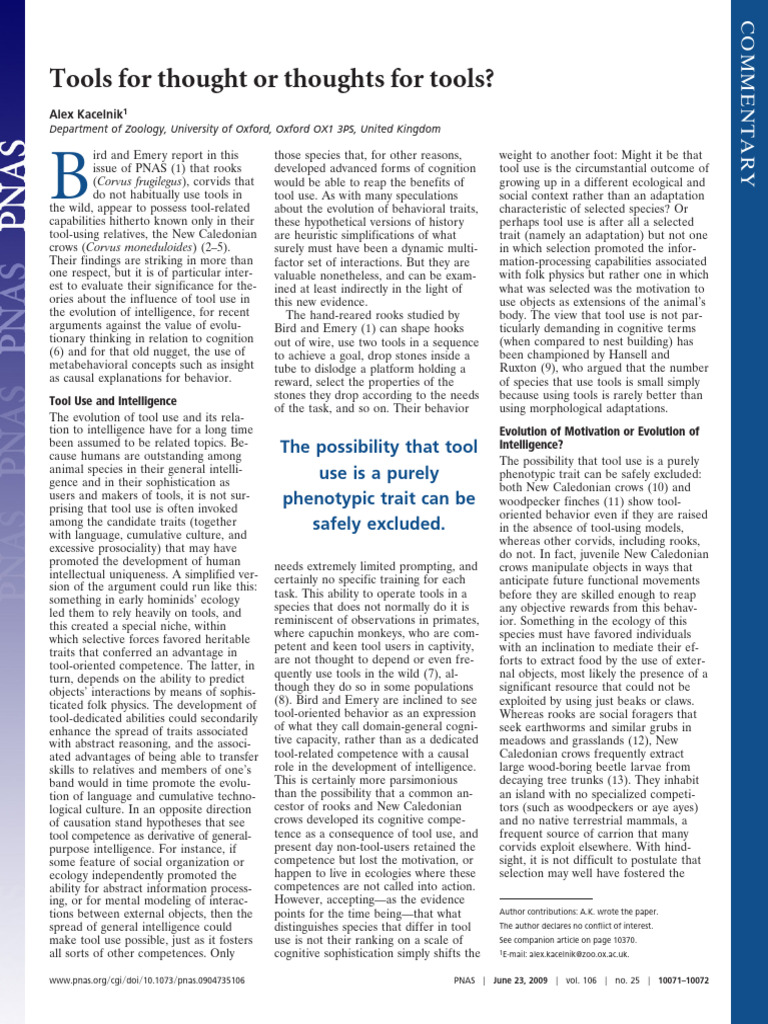 Tools For Thought or Thoughts For Tools | PDF | Tools | Intelligence