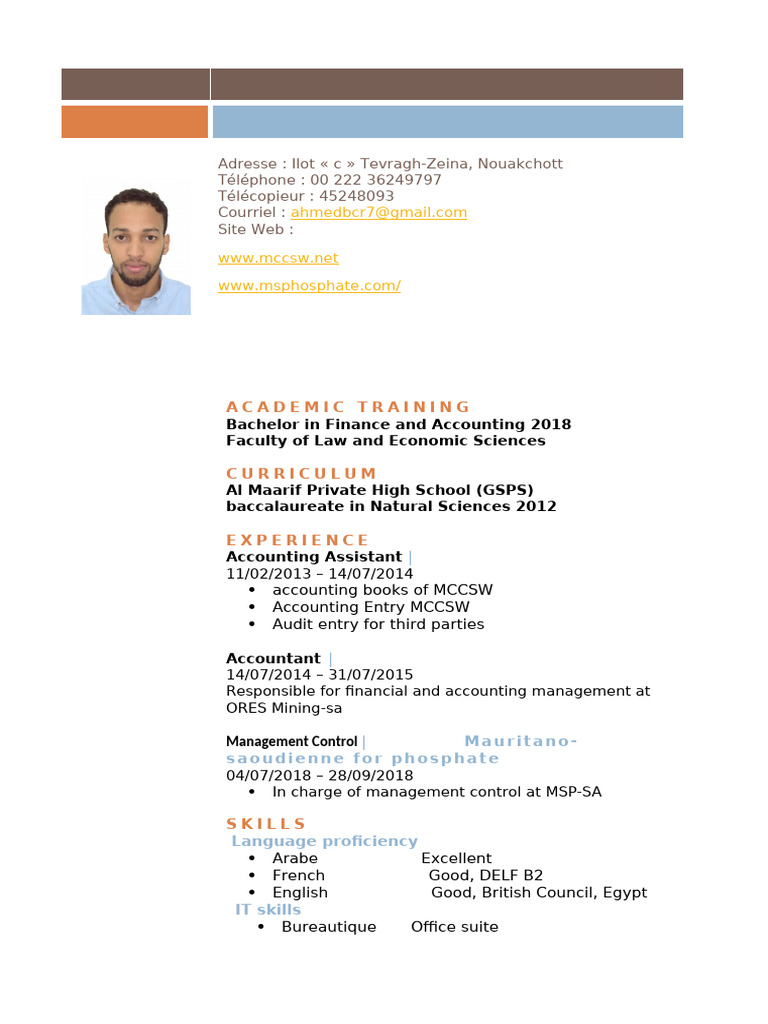 Ahmed Baba's Professional Profile | PDF